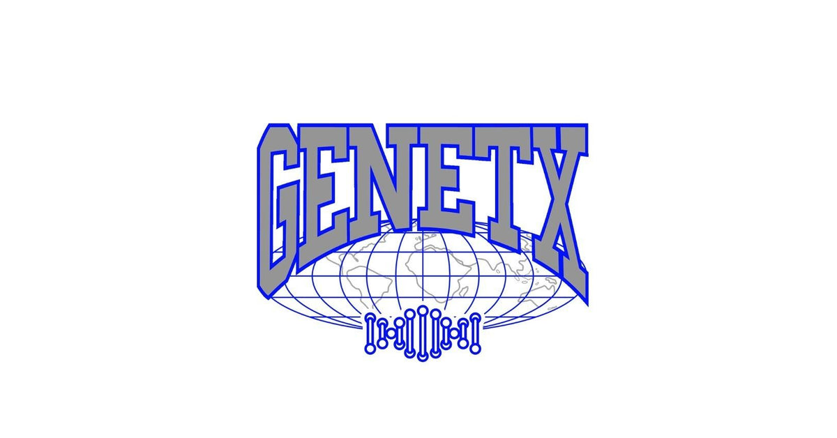 GENETX Clothing